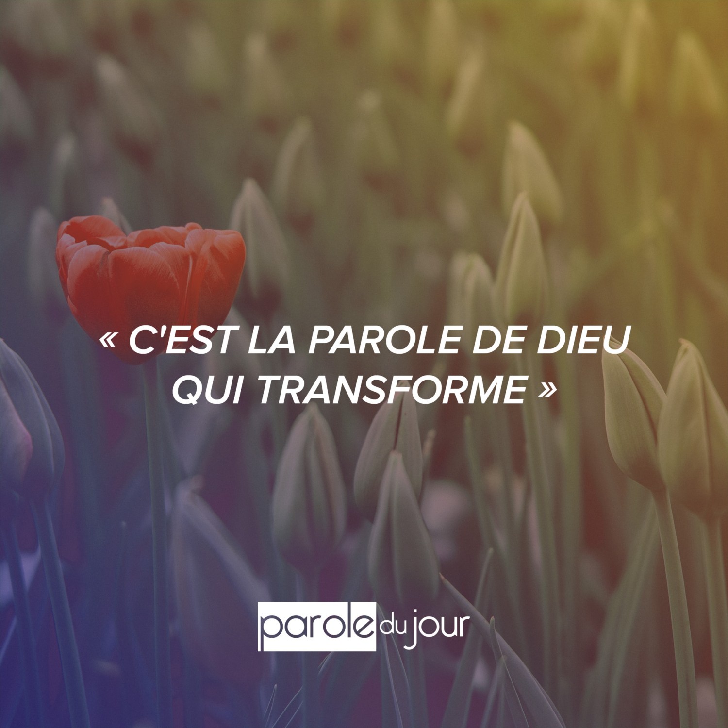 Donner selon la Bible - Parole du Jour