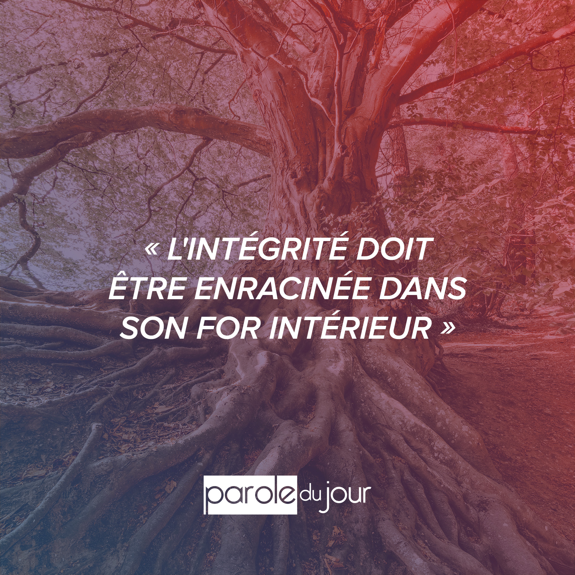 L’intégrité (2) - Parole du Jour