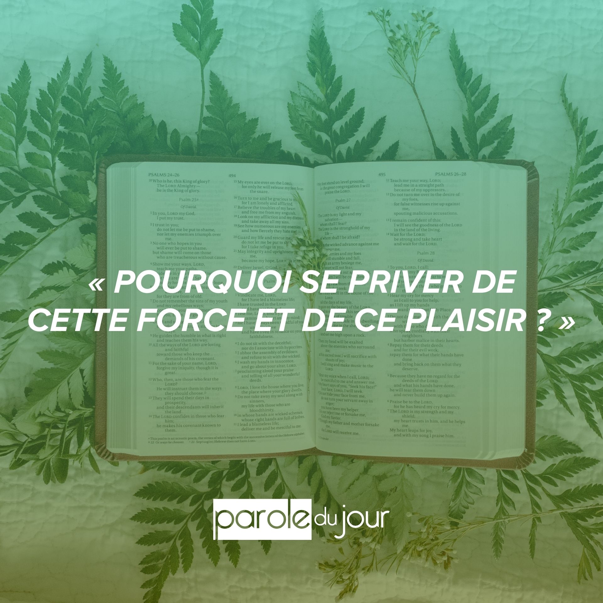 Creuser La Bible 2 Parole Du Jour