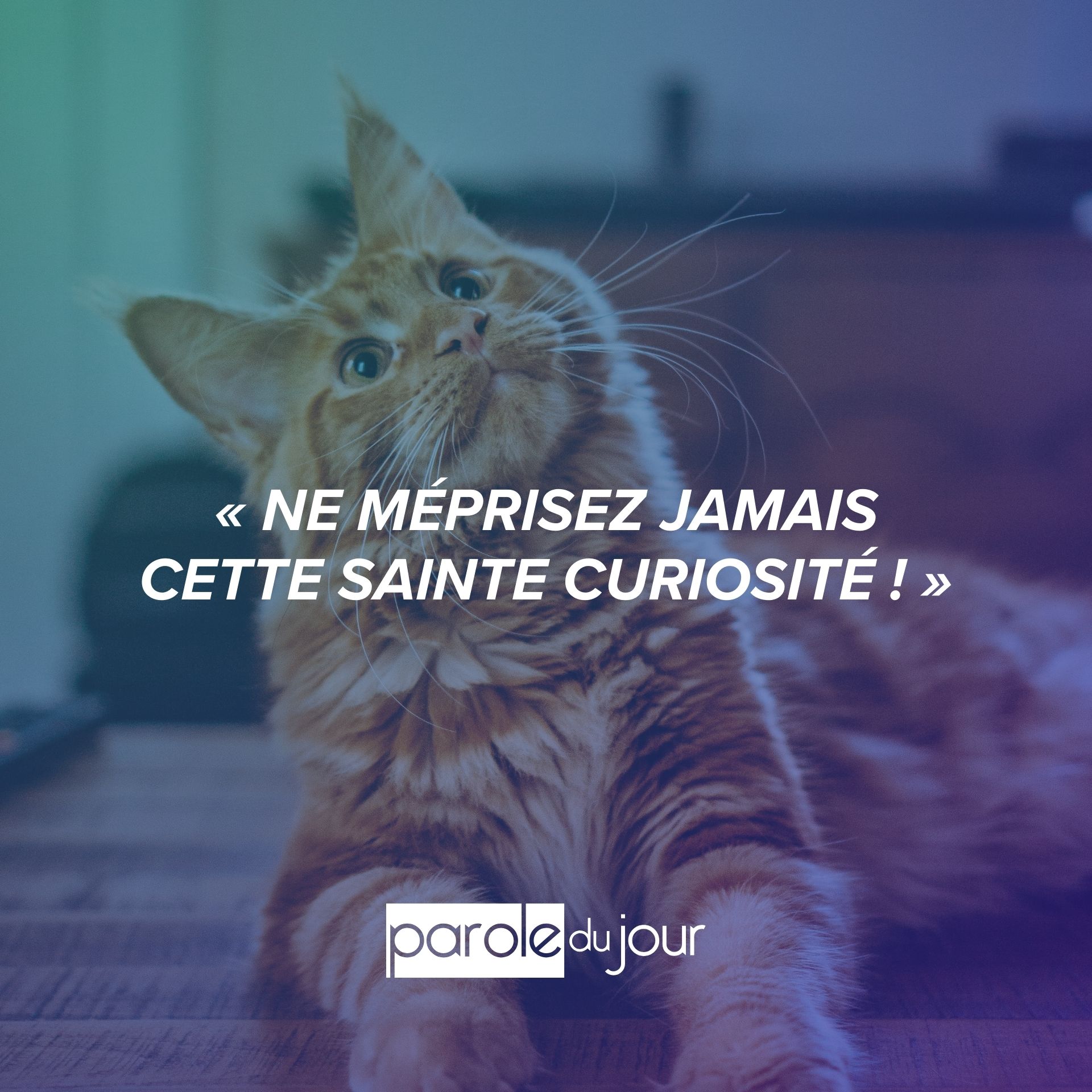 Ne jamais cesser d’apprendre (2) - Parole du Jour