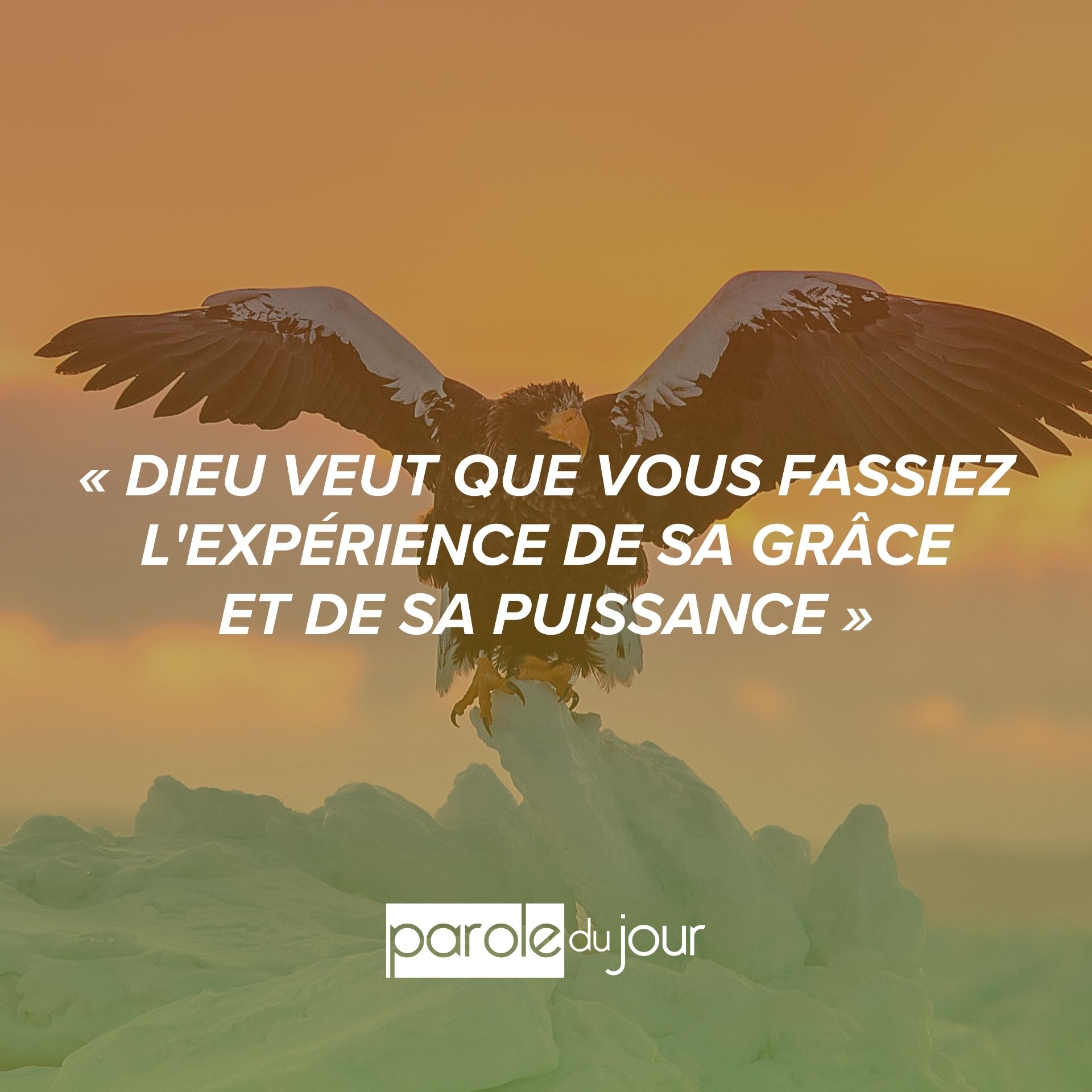 Le brisement (3) - Parole du Jour