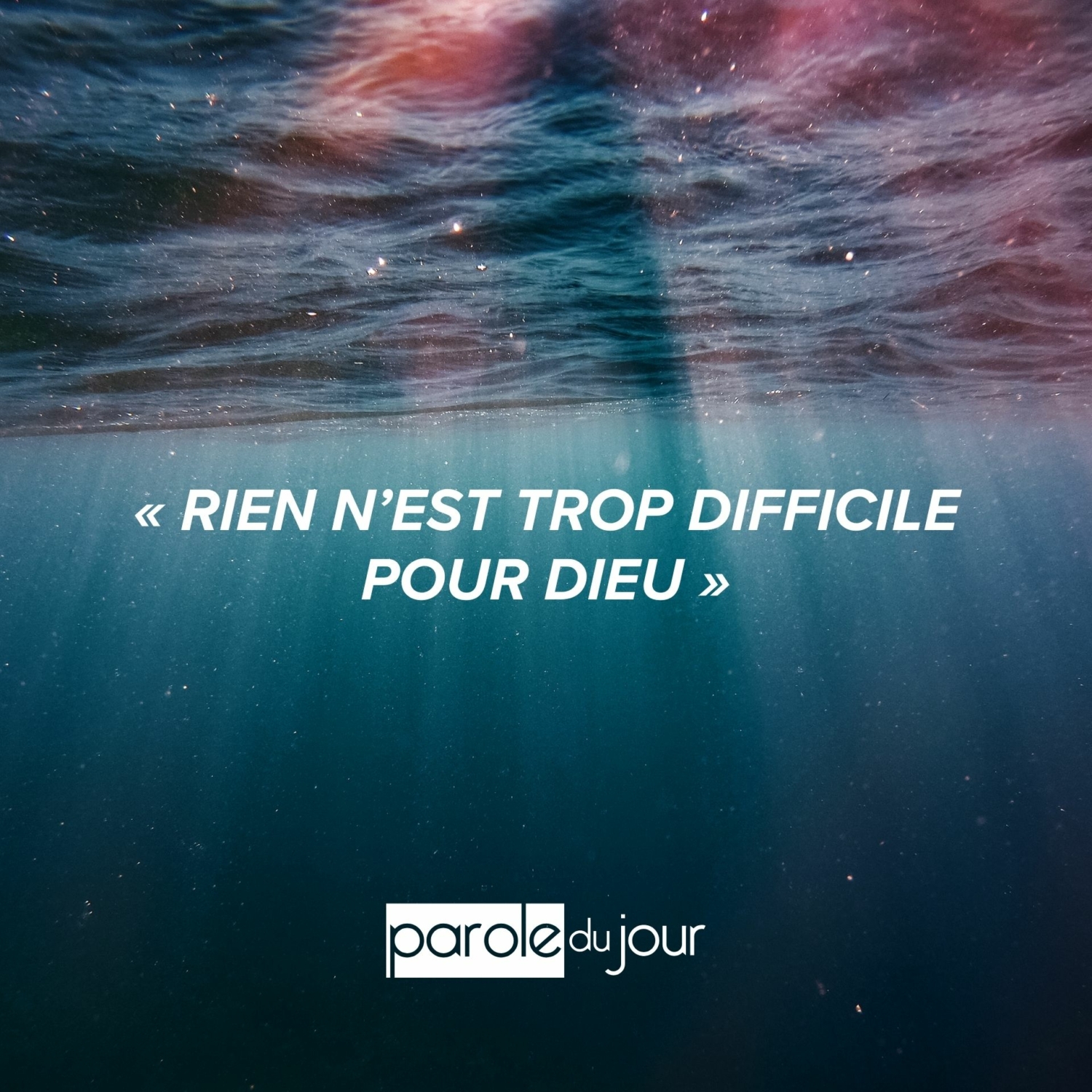 Nos futures activités au ciel - Parole du Jour
